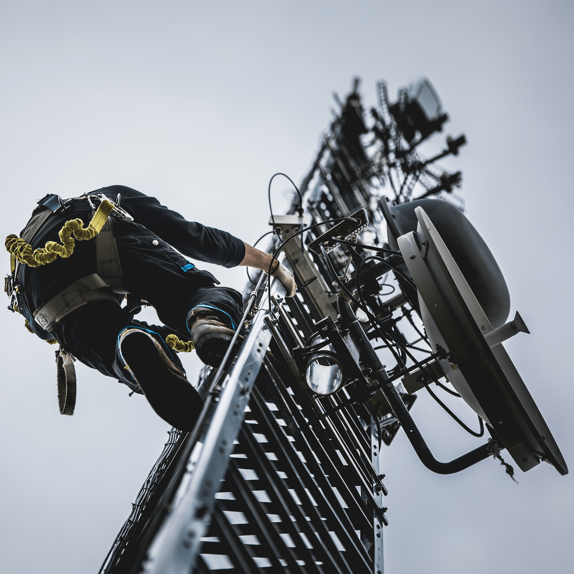 Magdalene Ltd: Achieving Excellence in Telecommunications Security - Active Network Services